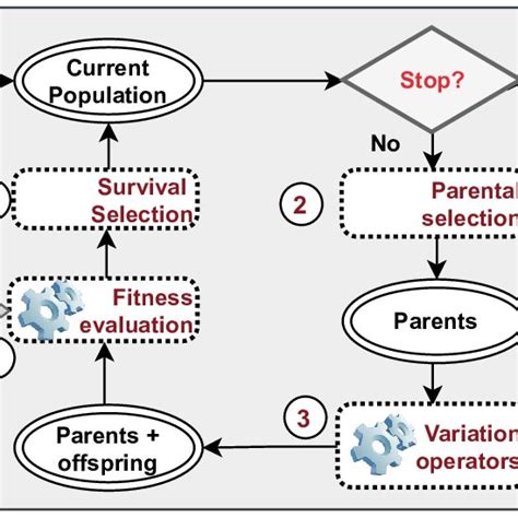 Genetic Learning Evolutionary Loop Steps 23 And 5 Concern The Download Scientific Diagram