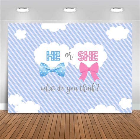 Buy Moca He Or She Gender Reveal Backdrop Cloud Blue Or Pink Photography Background X Ft Vinyl