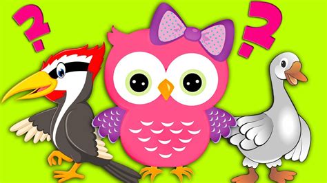 Угадай птицу Загадки детям про птиц России Мультик про птиц для малышей 0 Youtube
