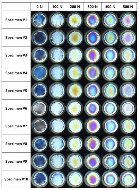 Comparison Of Deep Transfer Learning Models For The Quantification Of