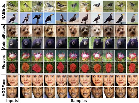 conditional distribution modelling for few shot image synthesis with