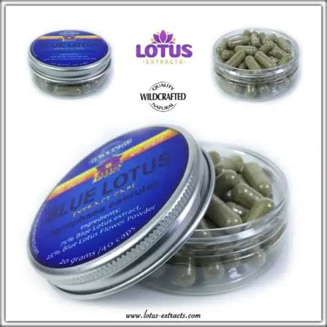 Blue Lotus Extract Capsules Nymphaea Caerulea Lotus Extracts