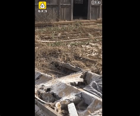 河北”一半白宫一半天坛”建筑荒废，院内杂草丛生，网友：可以拍聊斋了石家庄
