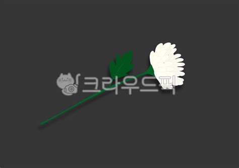 국화 조의 추모 애도 장례 사진 이미지 일러스트 캘리그라피 Pins작가