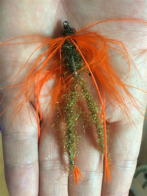 Bass Fly Fly Fishing Flies Pattern Fly Tying Patterns Fly Fishing