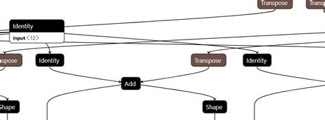 Graphutil Optimize Model Proto Has Issues When Dealing With