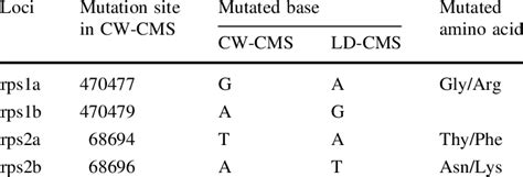 High Polymorphism Snps In Coding Regions On Mtdna Download Table