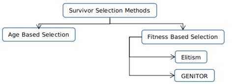 Survivor Selection Method And Its Types D Fitness Based Selection In Download Scientific