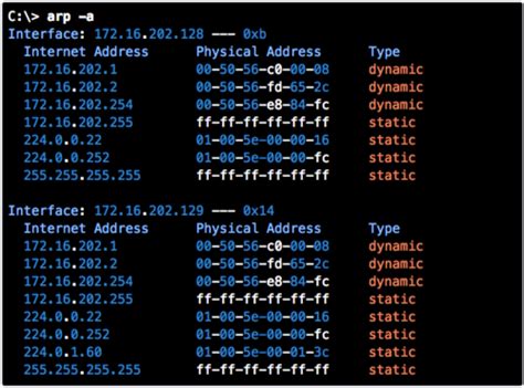 Commands Arp Netstat Tcpdump Flashcards Quizlet
