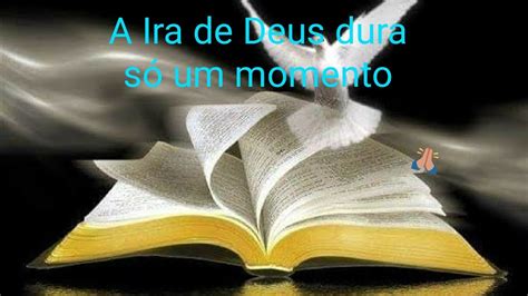 Estudo Bíblico de Obadias Cap Estudo Biblico para o seu dia a dia
