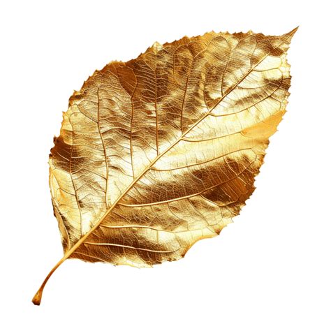 Gold Leaf Png Pngs For Free Download