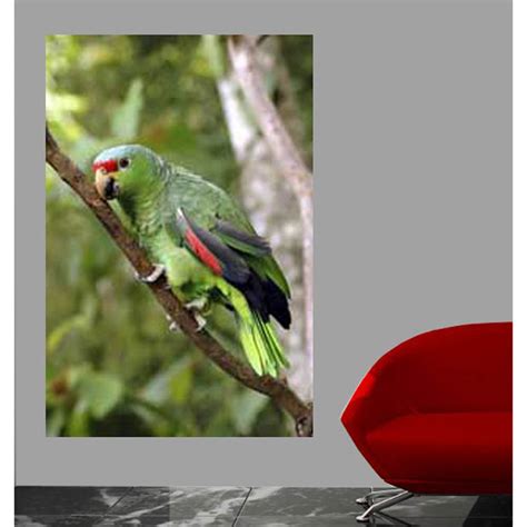 Parrot On A Branch Wall Decal Wallhogs