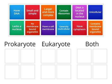 Prokayotes Vs Eukaryotes Group Sort