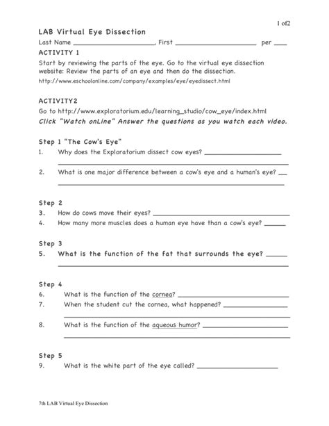 Cow Eye Dissection Worksheet — Db
