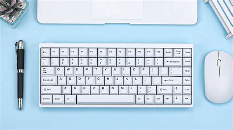 Wob Bow Pbt Doubleshot Keycaps Fit 61 63 64 67 68 84 96 Keys And Hhkb