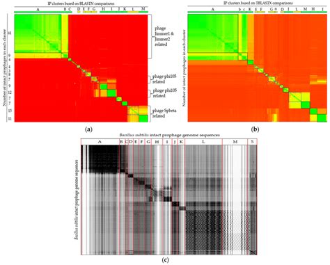 Comparison Of 172 Ip Genome Sequences Predicted In B Subtilis A B