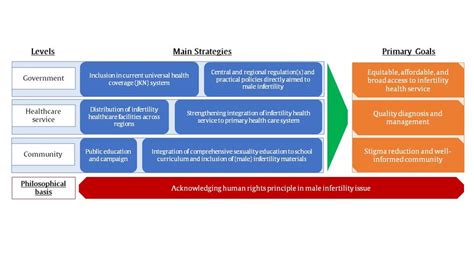 Conceptual Framework For Male Infertility Health Policy In Indonesia Download Scientific Diagram