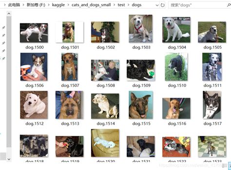 猫狗数据集的两阶段分类猫狗二分类器实验报告 Csdn博客