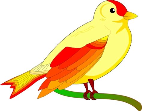 Ibon Clipart