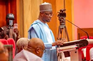 Examining Doros New Doctrine Against Nigerias Crises