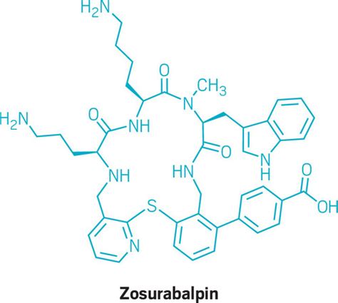 A Macrocyclic Peptide Kills Dangerous Bacteria Selectively Canden