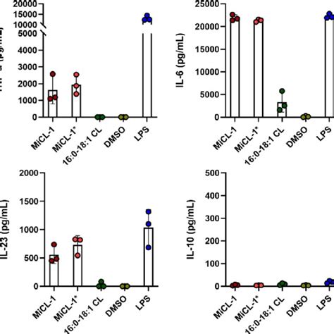 Induction of cytokines TNF α IL 6 IL 23 and IL 10 from human MDDCs Download Scientific