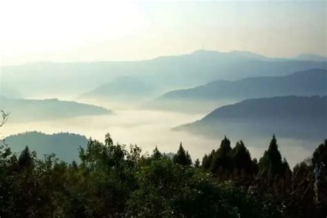 创建天府旅游名县｜龙泉山晨雾 ：早雾纱轻掩，清风露山巅澎湃号·政务澎湃新闻 The Paper