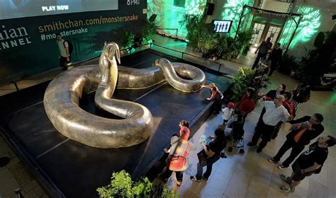 Titanoboa Our Planet