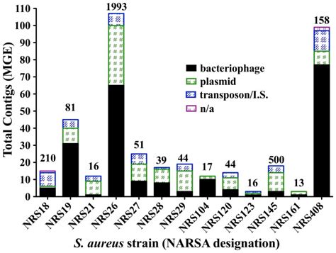Blast Nucleotide Sequence Analysis Identified The Sequence Identity Of