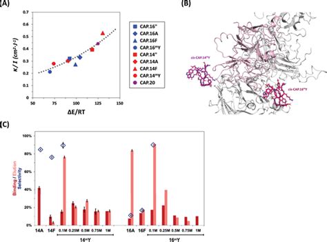 A Correlation Of Cap Photo‐isomerization Kinetics κ I And Energetics Download Scientific