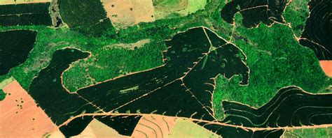 Alipay Ant Forest And IUCN Red List Join Forces To Increase Public