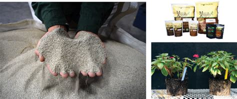 Mycorrhizal Applications Greenhouse Management