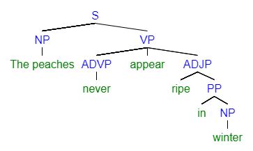 Solved It Is A Tree Structure Linguistics 1 Exercise 2 Draw The Tree Course Hero