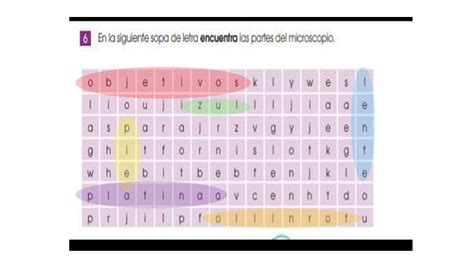6 En La Siguiente Sopa De Letra ENCUENTRA Las Partes Del Microscopio