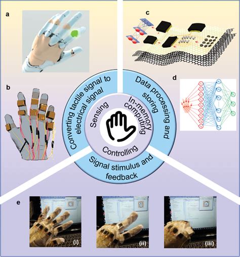 Schematic Of Sensing Processing And Controlling Flow In Tactile