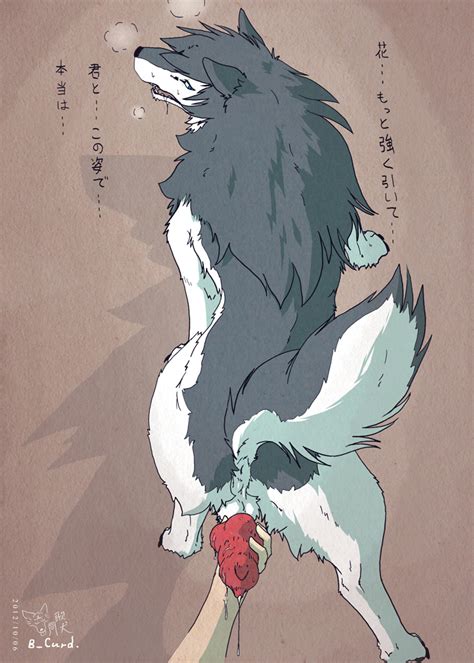 Rule 34 2012 Animal Genitalia Anus Ass B Curd Canine Canine Penis Cum