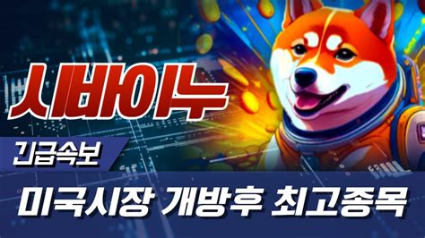 시바이누 이정도면 달러 대체하겠는데 Youtube