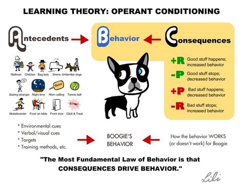 Classical Conditioning Notes From Clicker Expo Operant Conditioning