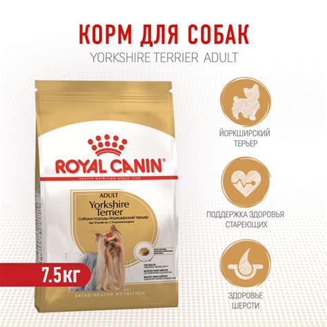 Royal Canin Yorkshire Terrier Adult сухой корм для взрослых собак ...