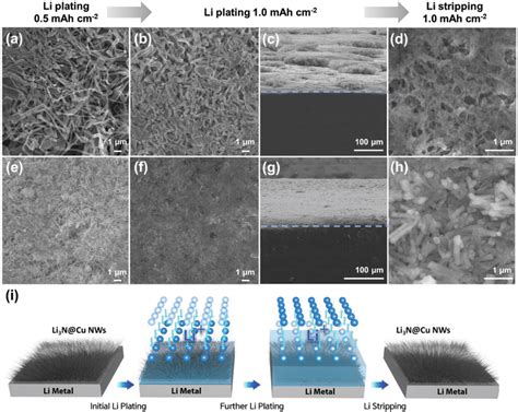SEM Images Of The Li Electrode Surface After Li Plating And Stripping