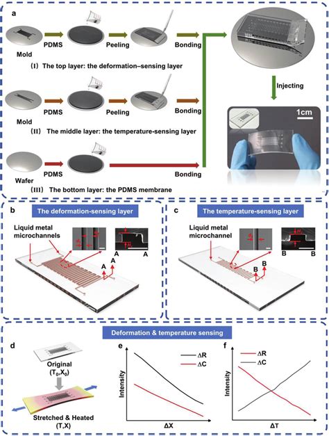 A Schematic Illustration Of The Fabrication Procedure Of The Download Scientific Diagram