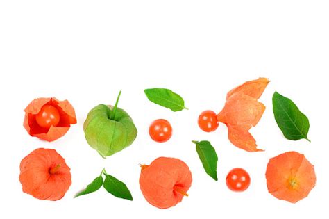 Physalis 복사 공간 텍스트와 흰색 배경에 고립 된 잎 최고의 볼 수 있습니다 평면 위치 패턴 0명에 대한 스톡 사진 및