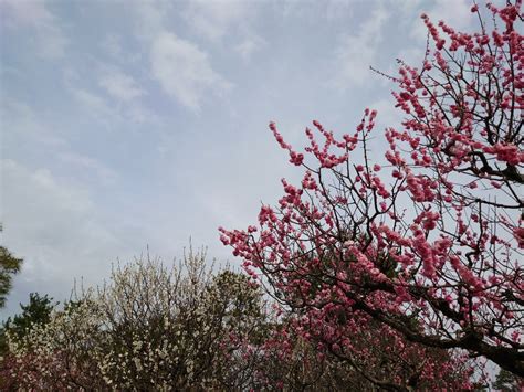 朝眠れなかった