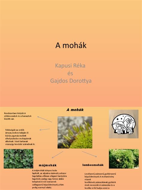 Moha Kapusi Réka Gajdos Dorottya Pdf