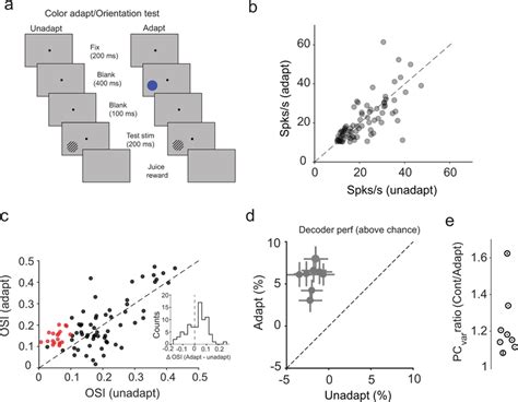 Cross Feature Color Adaptation Effects A Schematic Description Of Download Scientific Diagram