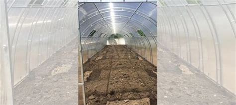 Теплица арочная усиленная купить в Таганроге | Товары для дома и дачи ...