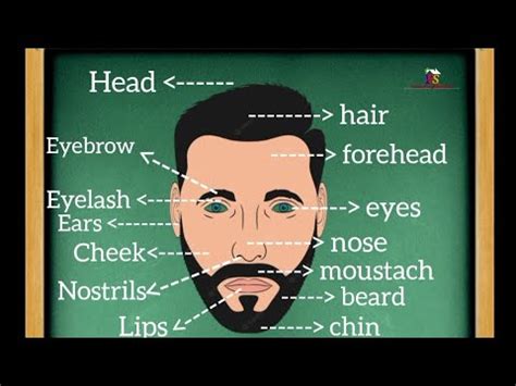 The Face Le Visage Youtube