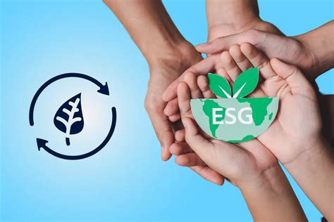 Esg Trends Looking Back On 2024 And Outlook For 2025 Dilitrust
