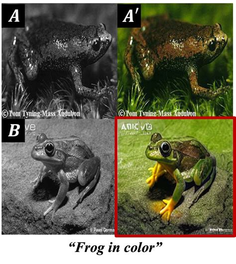 Analogist Out Of The Box Visual In Context Learning With Image Diffusion Model