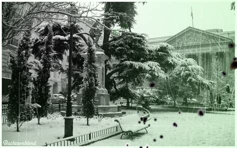 배경 화면 단색화 시티 건물 겨울 역사 나무 식물 큰 광장 휴양 검정색과 흰색 흑백 사진 종범 검정 흰색 흰 돌 1680x1050